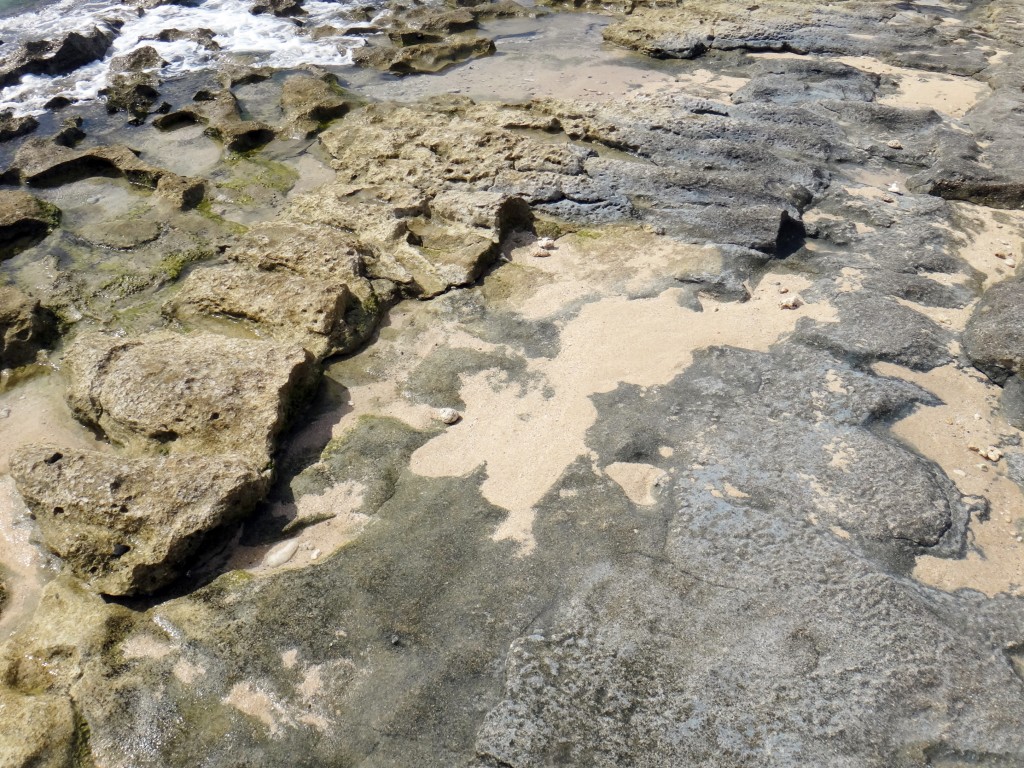Geology of Hawaiian Coral Reefs | Lucky Sci
