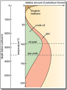 Easy Science: how oil forms | Lucky Sci